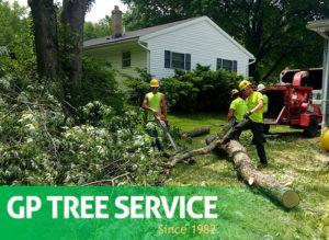 GP Tree Service - Tree Service Akron OH - Certified Arborist 44260