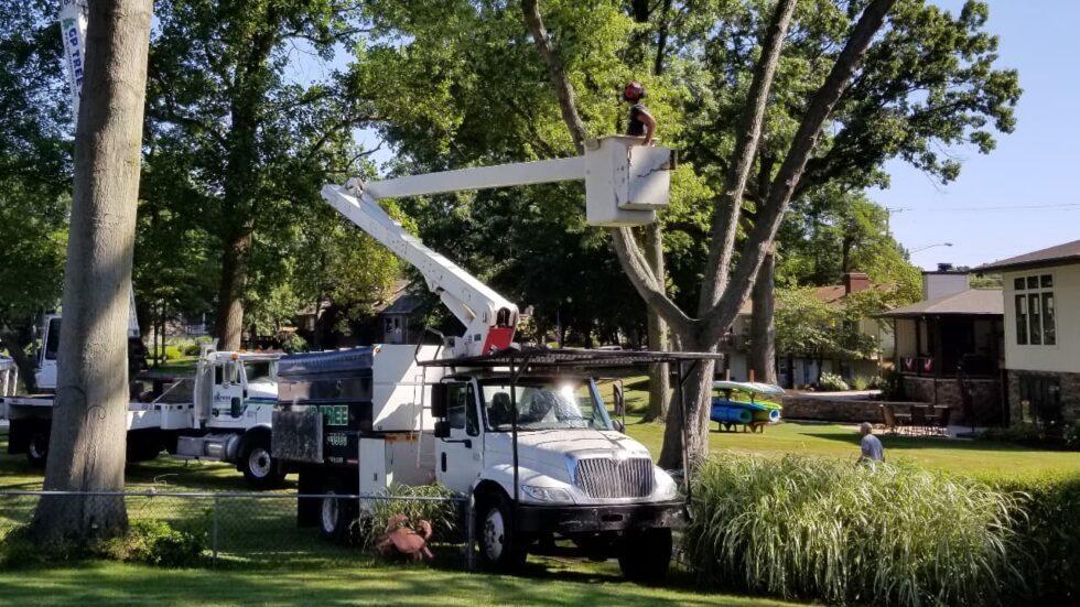 GP Tree Service - Tree Service Akron OH - Certified Arborist 44260