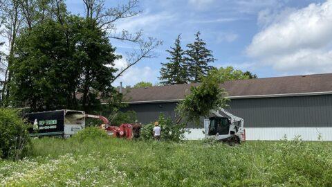 GP Tree Service - Tree Service Akron OH - Certified Arborist 44260