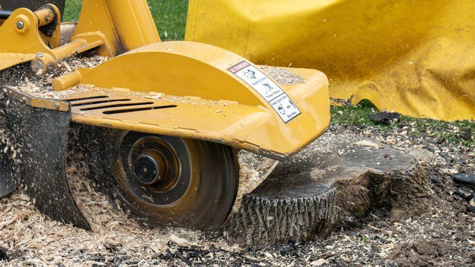GP Tree Service - Tree Service Akron OH - Certified Arborist 44260