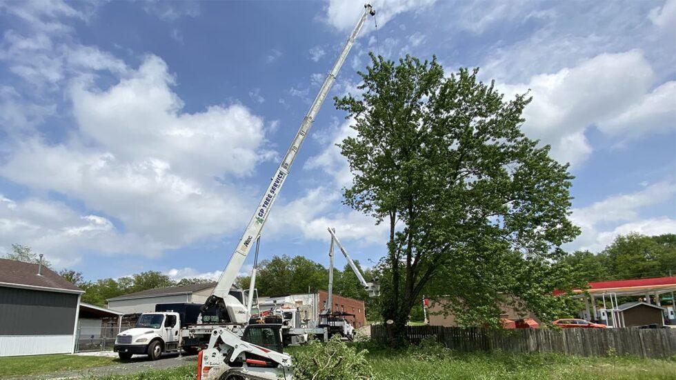 GP Tree Service - Tree Service Akron OH - Certified Arborist 44260