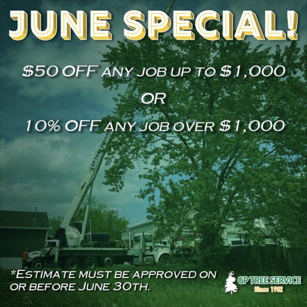 GP Tree Service - Tree Service Akron OH - Certified Arborist 44260