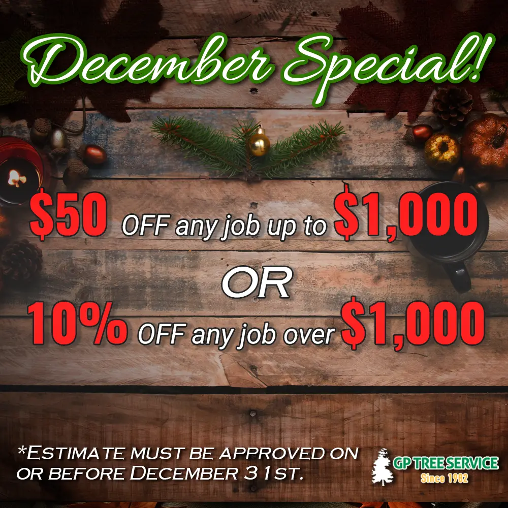 GP Tree Service - Tree Service Akron OH - Certified Arborist 44260